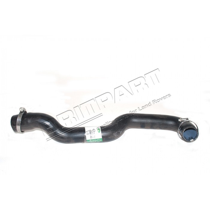 PNH500670-Hose-Cooler-To-Tube | Landroverparts.it